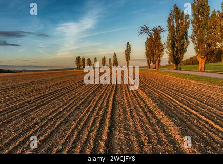 Furchen Im Ackerboden, Abendsonne, Berlin, Germany Stock Photo - Alamy