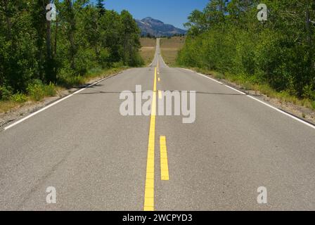 CA Highway 89 near Monitor Pass, Toiyabe National Forest, California ...