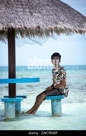 Hut on the beach of love island in front of Atins on Brazil Stock Photo ...