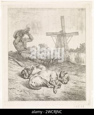 Resting hunter with sleeping dogs. In the background a windmill ...