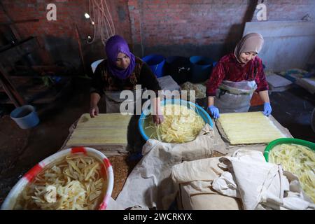 Sharqiya, Egypt. 16th Jan, 2024. A woman dries paperboards used in ...