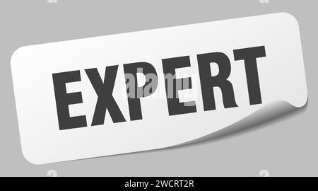 expert sticker. expert rectangular label isolated on white background ...