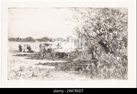 Cows in Weiland, Jan Vrolijk, 1860 - 1894 print Cows are in a meadow ...