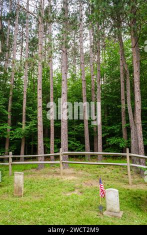 The Penn Forest Cemetery in Allegheny National Forest Stock Photo - Alamy
