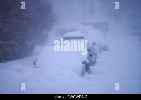 Oslo 20240117.The heavy snowfall creates challenges like here in the ...