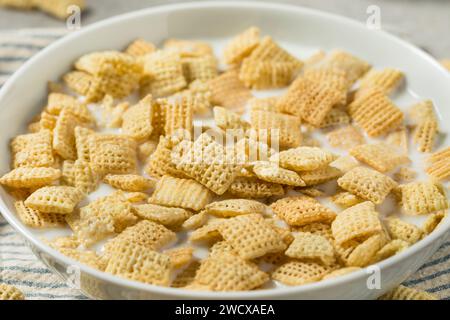 Healthy Organic Rice Squares Breakfast Cereal with Whole Milk Stock ...