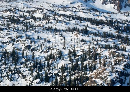 Sierra crest slope from Pacific Crest Trail, Carson Pass National ...