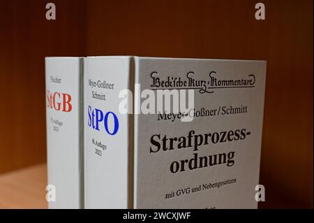 Das Strafgesetzbuch StGB und das Strafprozessordnungs Buch StPO ...