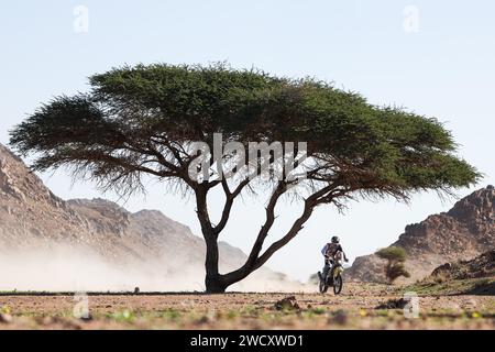 26 DĄBROWSKI Konrad (pol), Duust Rally Team, KTM, Rallye 2, FIM W2RC ...