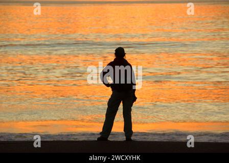 Sunset, Harry A Merlo State Park, California Stock Photo - Alamy
