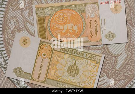A top view of Mongolian togrog banknotes Stock Photo - Alamy