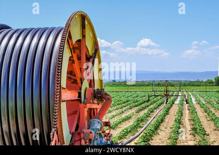 modern irrigation system watering cotton field Stock Photo - Alamy