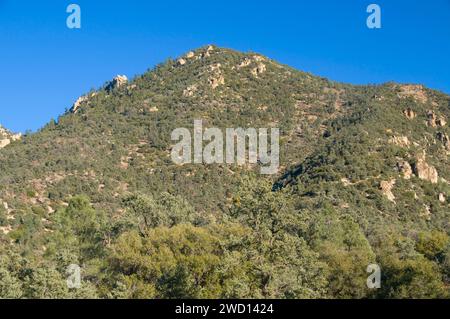 Lamont Peak, Owens Peak Wilderness, Chimney Peak National Backcountry ...