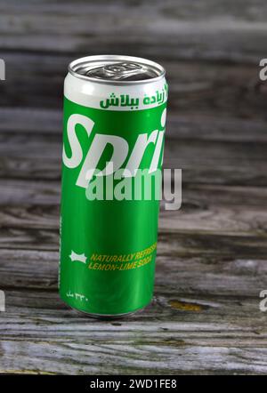 Cairo, Egypt - January 2, 2024: Black granite statue of Queen Nofret ...