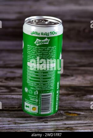 Cairo, Egypt - January 2, 2024: Black granite statue of Queen Nofret ...