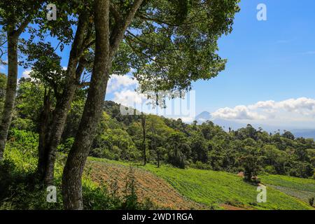 Fertile volcanic landscape near Mt Mahawu crater with 1785m Mt Soputan ...