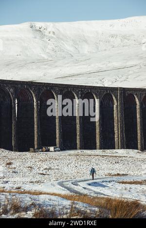 A lone hiker on a trail with stunning canyon views and rugged rocky ...