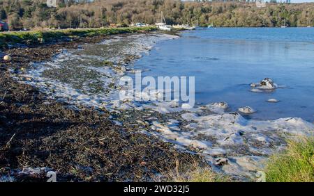 Frozen harbour shoreline in winter. West Cork, Ireland Stock Photo - Alamy