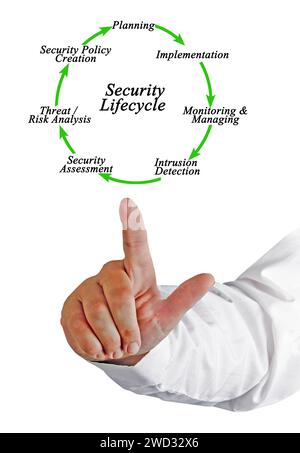 Seven Stages of Security Lifecycle Stock Photo - Alamy