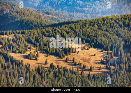 The mountain slopes are covered with pine forests Stock Photo - Alamy