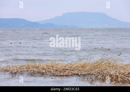 Winter wonderland at the fabulous Lake Balaton of Hungary. Northern ...