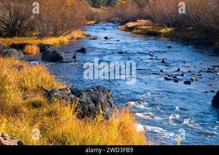 Pit River, Modoc National Forest, California Stock Photo - Alamy