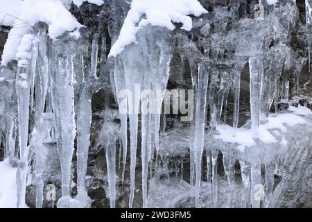 Tanne, Germany. 18th Jan, 2024. Icicles form on a rock face in Tanne ...