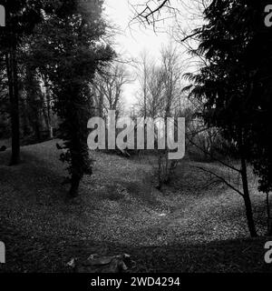 War-scarred landscape, Verdun battlefield, Les Eparges, Meuse, Grand ...