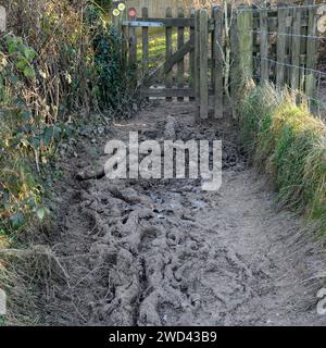 Frozen, hard mud on a footpath Stock Photo - Alamy
