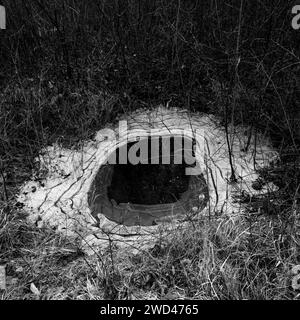 War-scarred landscape, Verdun battlefield, Les Eparges, Meuse, Grand ...