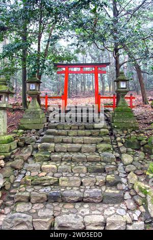 Torii gate st the Wakamiya Shrine at Kasuga Taisha or Kasuga Grand ...