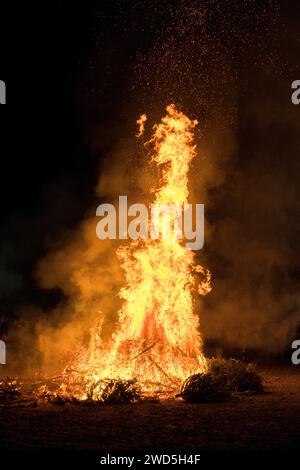 Environmental pollution, fire from discarded Christmas trees ...