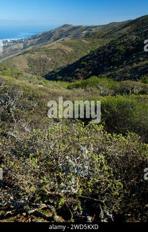 Summit view, San Bruno Mountain State Park, California Stock Photo - Alamy