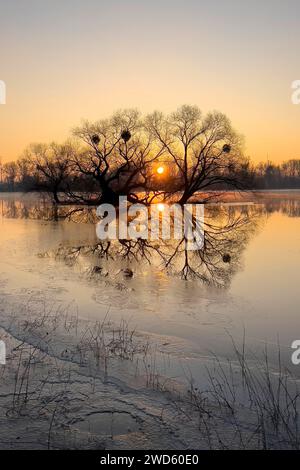 Flooding on the Elbe with dike protection system and warning sign Stock ...