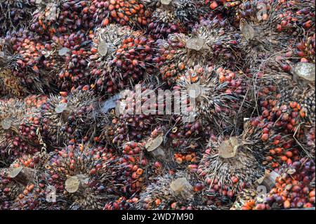 GHANA, Kwae, GOPDC, a member of the Siat Group of Belgium, is an ...