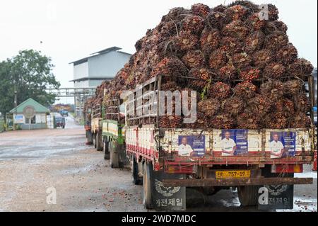 GHANA, Kwae, GOPDC, a member of the Siat Group of Belgium, is an ...