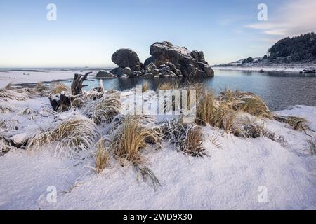 Popular rock feature in Gold Beach Oregon known as turtle rock covered ...