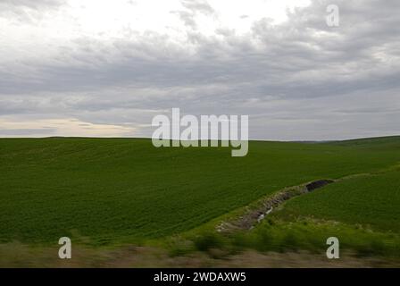 GENESEE/IDAHO /USA-Farmland srounding genesee in idaho states 25 May ...