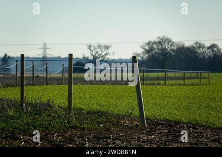 The Hornsea Three onshore cable corridor Stock Photo - Alamy