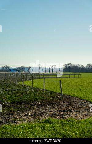 The Hornsea Three onshore cable corridor Stock Photo - Alamy