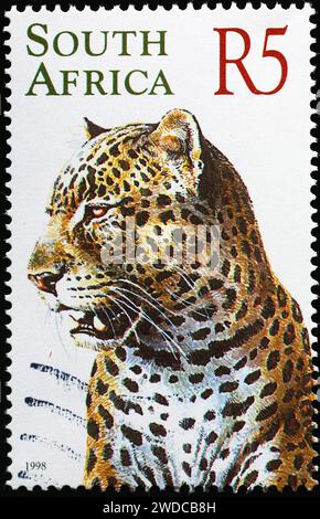 Mighty leopard on postage stamp from Zimbabwe Stock Photo - Alamy