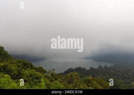 Buyan Lake encompassed by dense forest, in fog and clouds, Bali ...