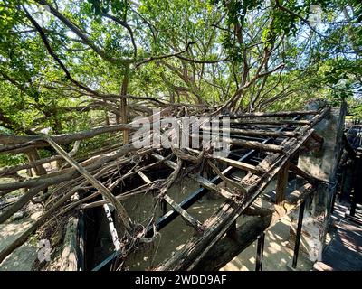 The famous landmark Anping Tree House in Tainan, Taiwan Stock Photo - Alamy