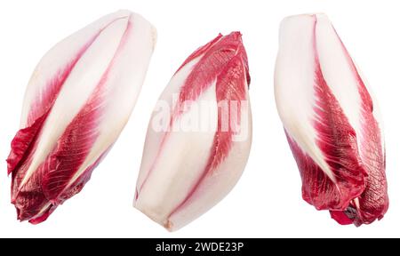 Collection of three red endive heads isolated on white background Stock ...