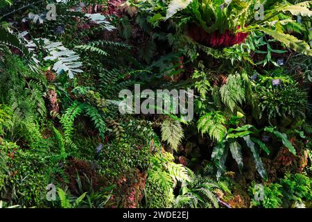 A verity of plants and lush greenery at the Chicago botanical garden ...