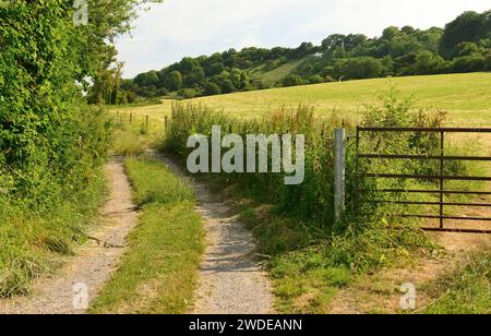 Field gateway looking towards the Broad Town escarpment and white horse ...