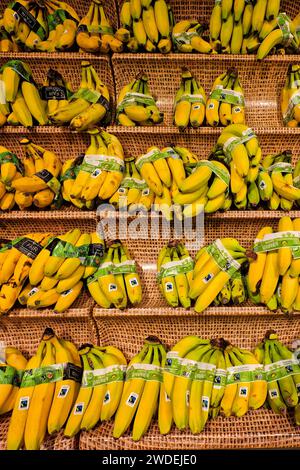 Frische Lebensmittel im Supermarkt, Kundin am Obstregal, München, März ...
