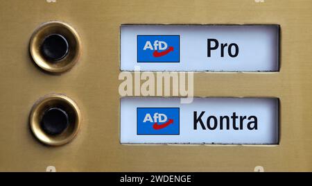 AfD-Logos und Schriftzug mit Alice Weidel AfD-Logos und Schriftzug mit ...