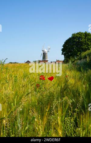 A view of the windmill at Great Bircham, Norfolk Stock Photo - Alamy