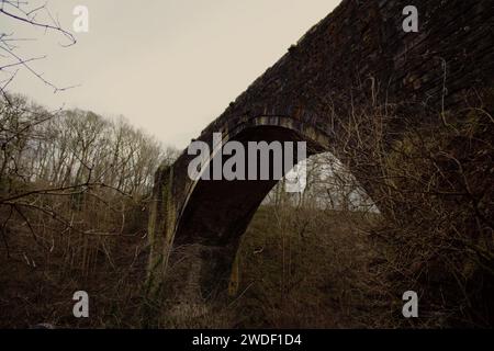 The Causey Arch, the oldest surviving railway bridge in the world. Near ...